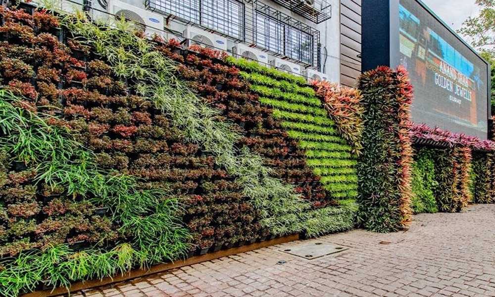 Transforming Urban Spaces: How Vertical Gardens Revitalize Lives