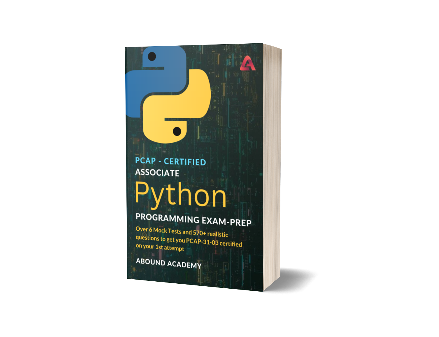 Unlock Your Python Potential: How Abound Academy Transformed Anita's Career