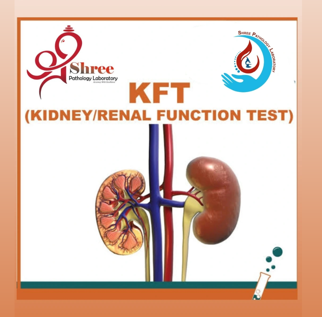 Understanding Shreya’s Journey: How a Kidney Function Test Brought ...