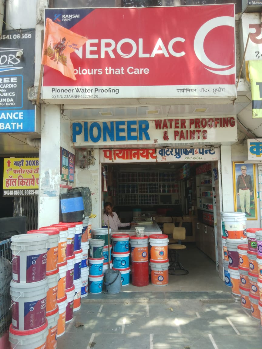 Transform Your Home with Premium Paints: Meet Neha’s Journey to a ...