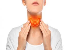 Discovering the Path to Wellness: How Redcliffe Labs Transforms Thyroid ...