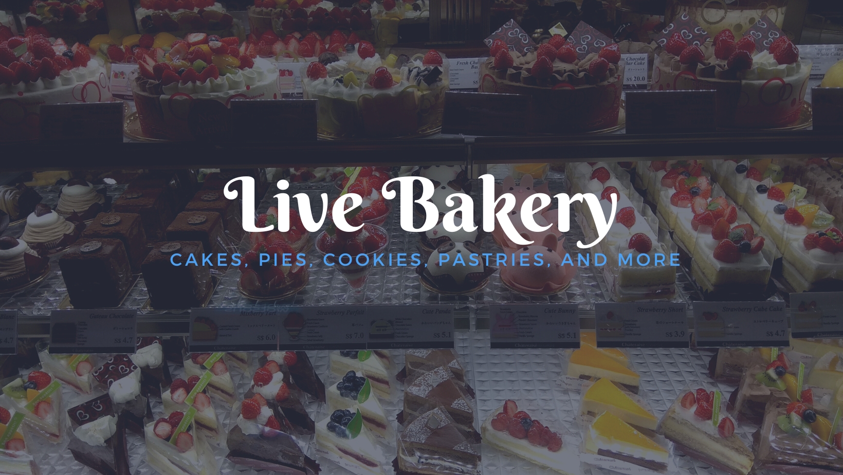 Live Bakery | Best Bakery Shop in Musakhedi Indore